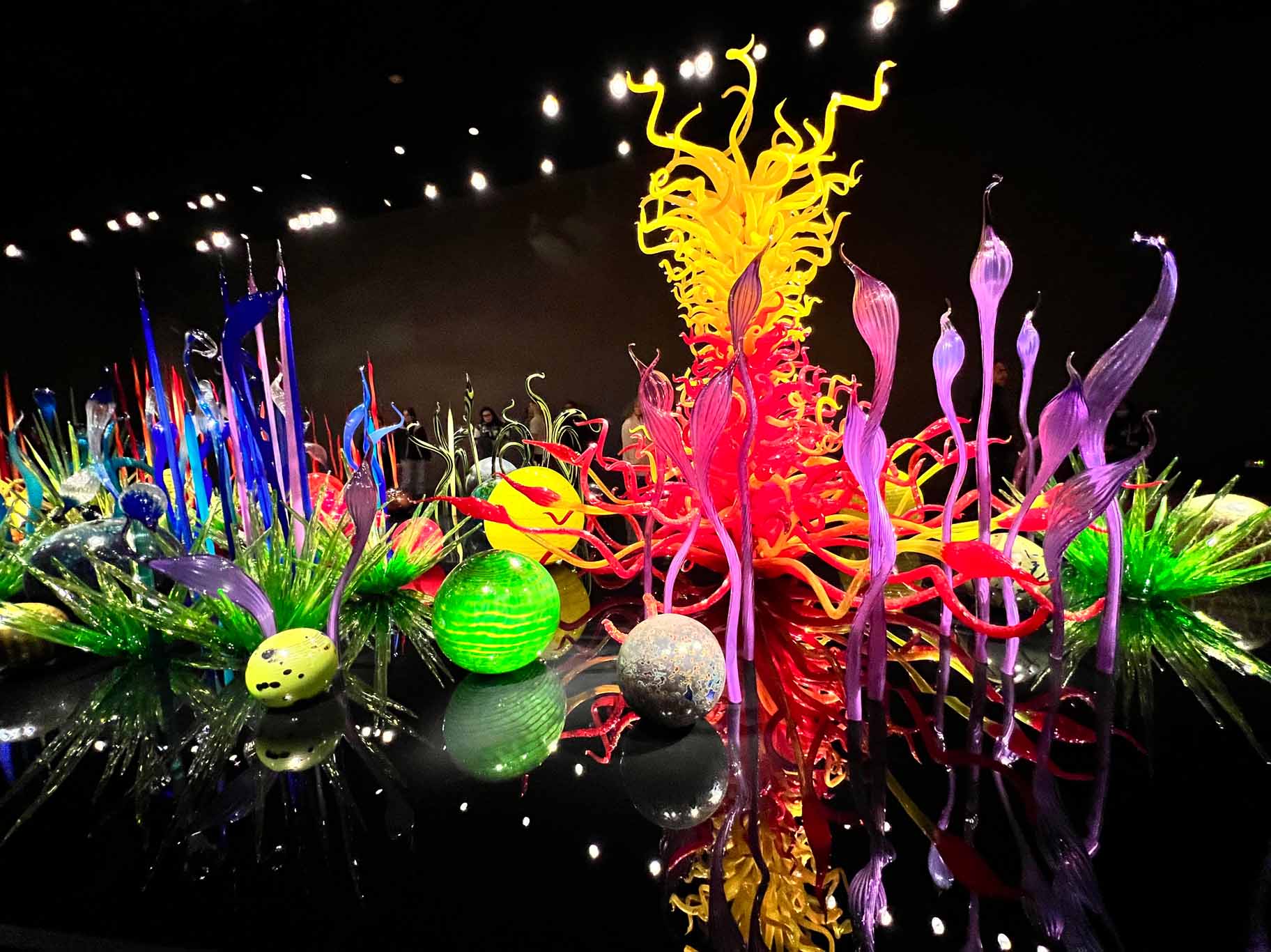 Dale Chihuly: American Sculptor of Dreams in Glass and Light